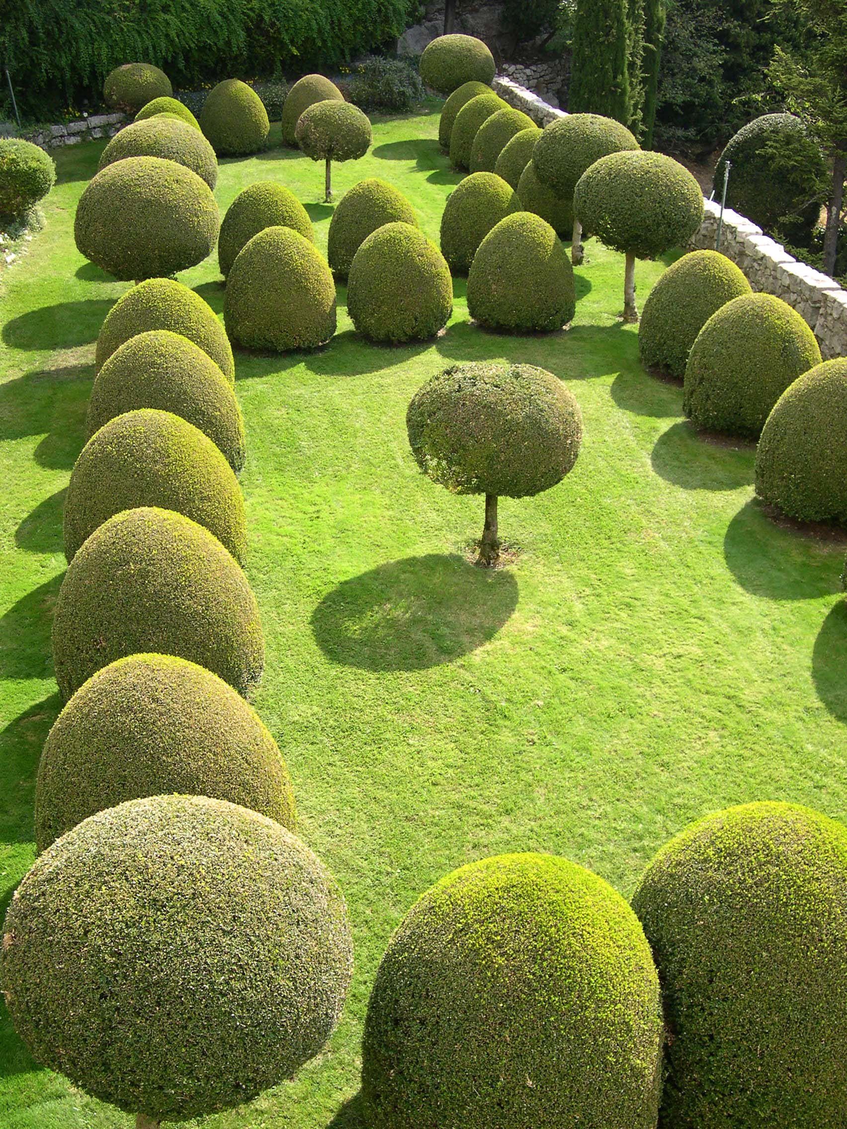 19 Topiary Garden Design Ideas You Gonna Love | SharonSable