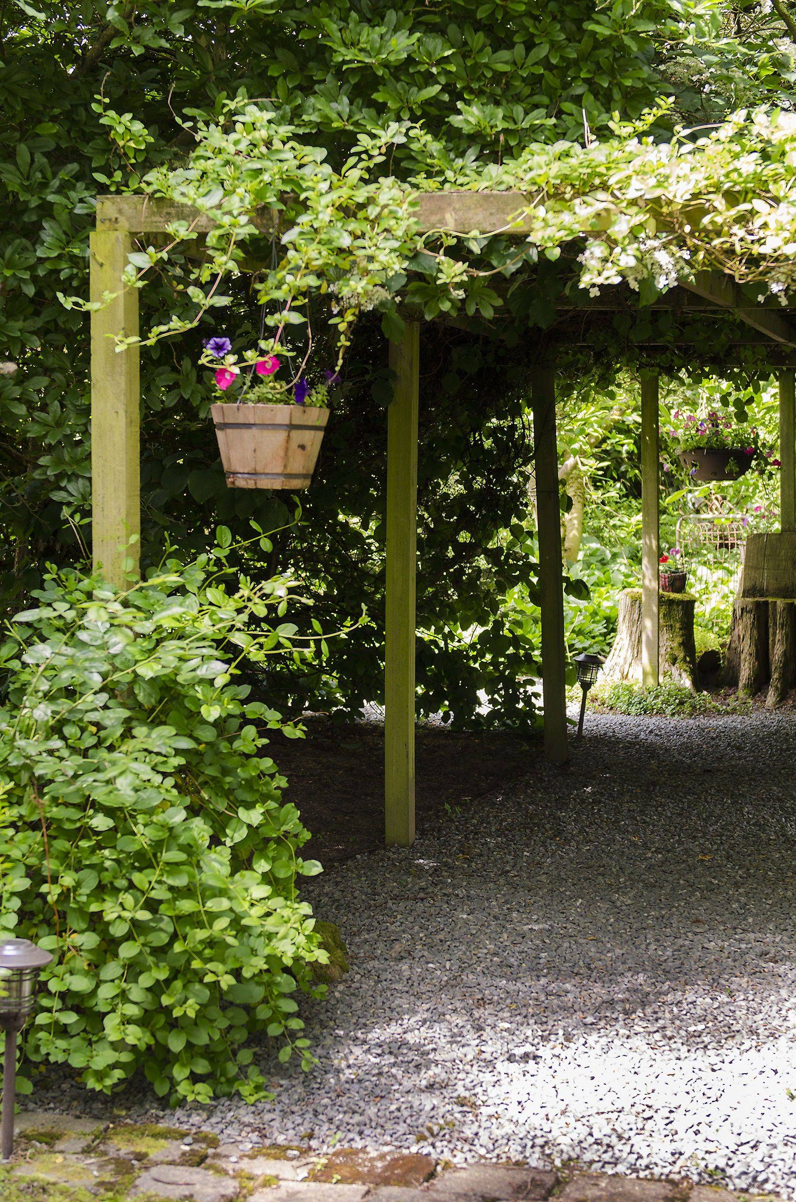 22 Secret Garden Pathways Ideas To Try This Year | SharonSable