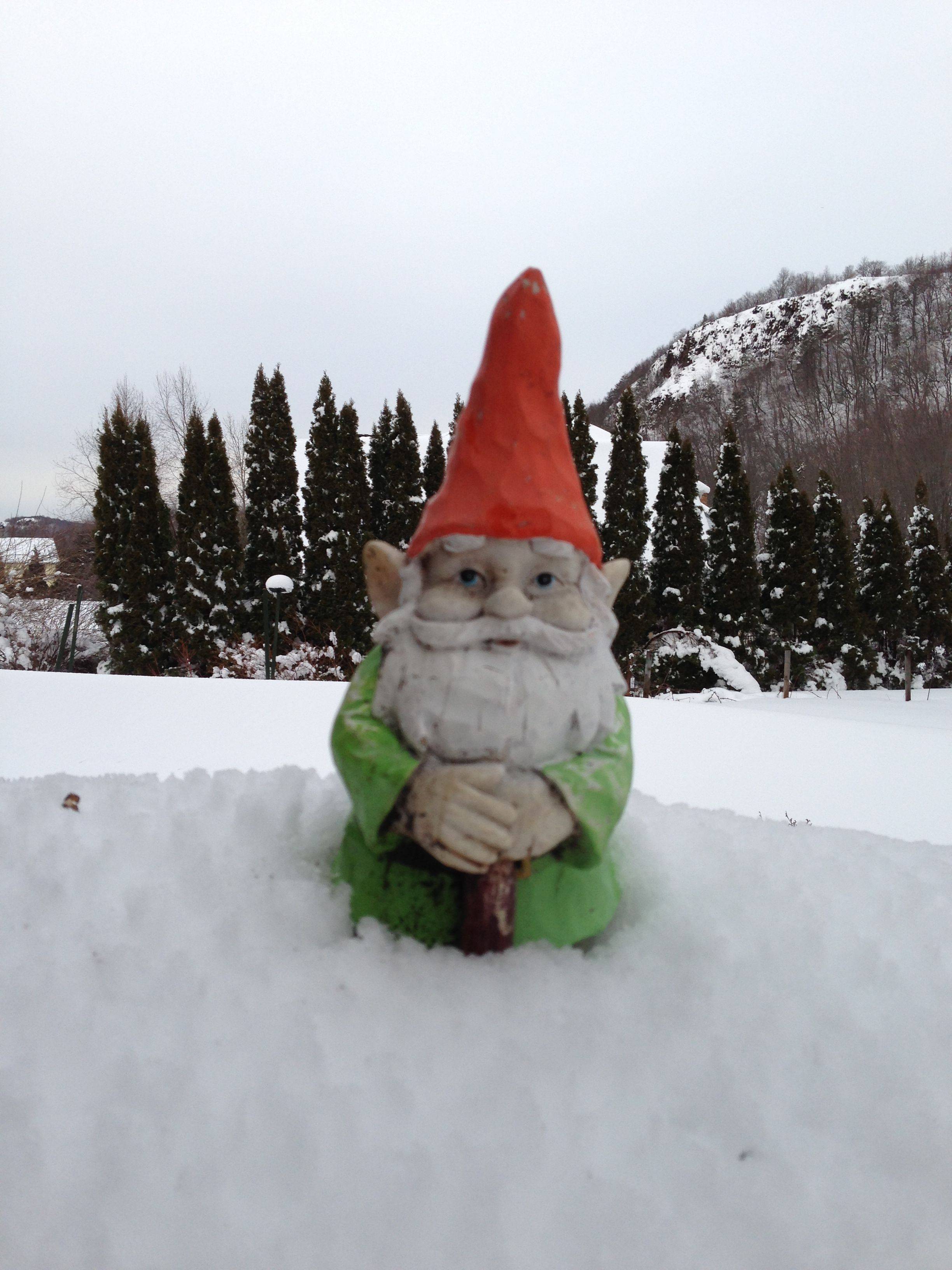 21 Unique Garden Gnomes Ideas Worth to Check | SharonSable