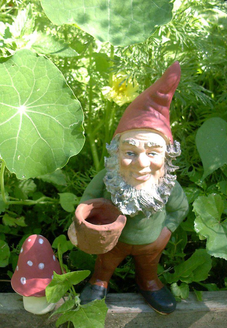 21 Unique Garden Gnomes Ideas Worth to Check | SharonSable