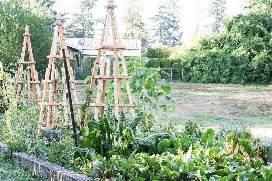 24 Garden Tuteur Ideas Worth a Look | SharonSable