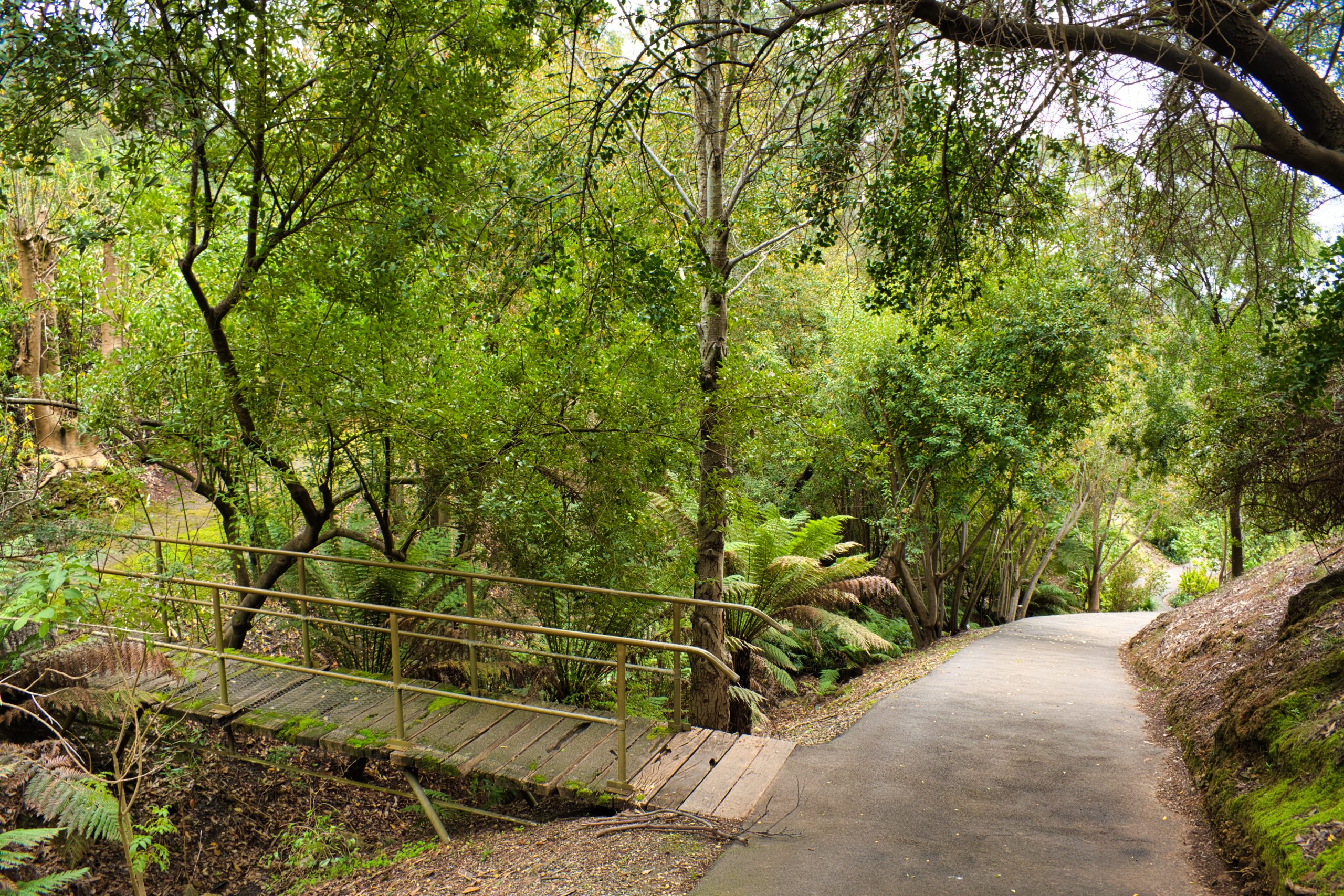 22 Adelaide Botanic Garden Ideas To Try This Year | SharonSable