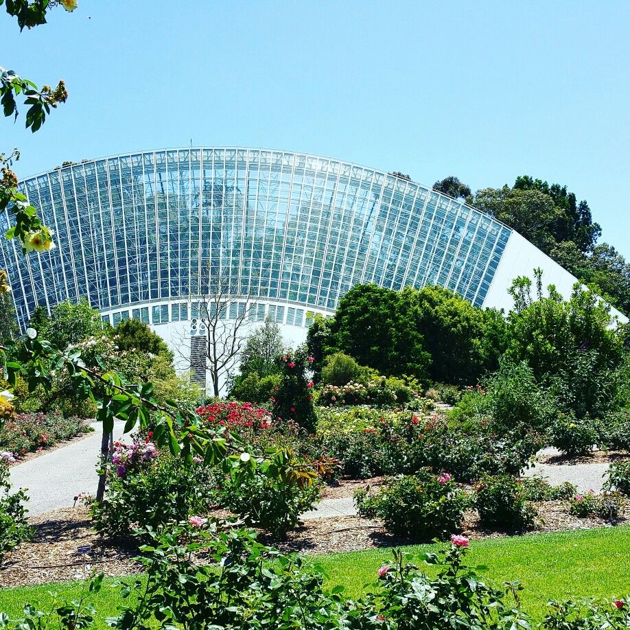 22 Adelaide Botanic Garden Ideas To Try This Year | SharonSable