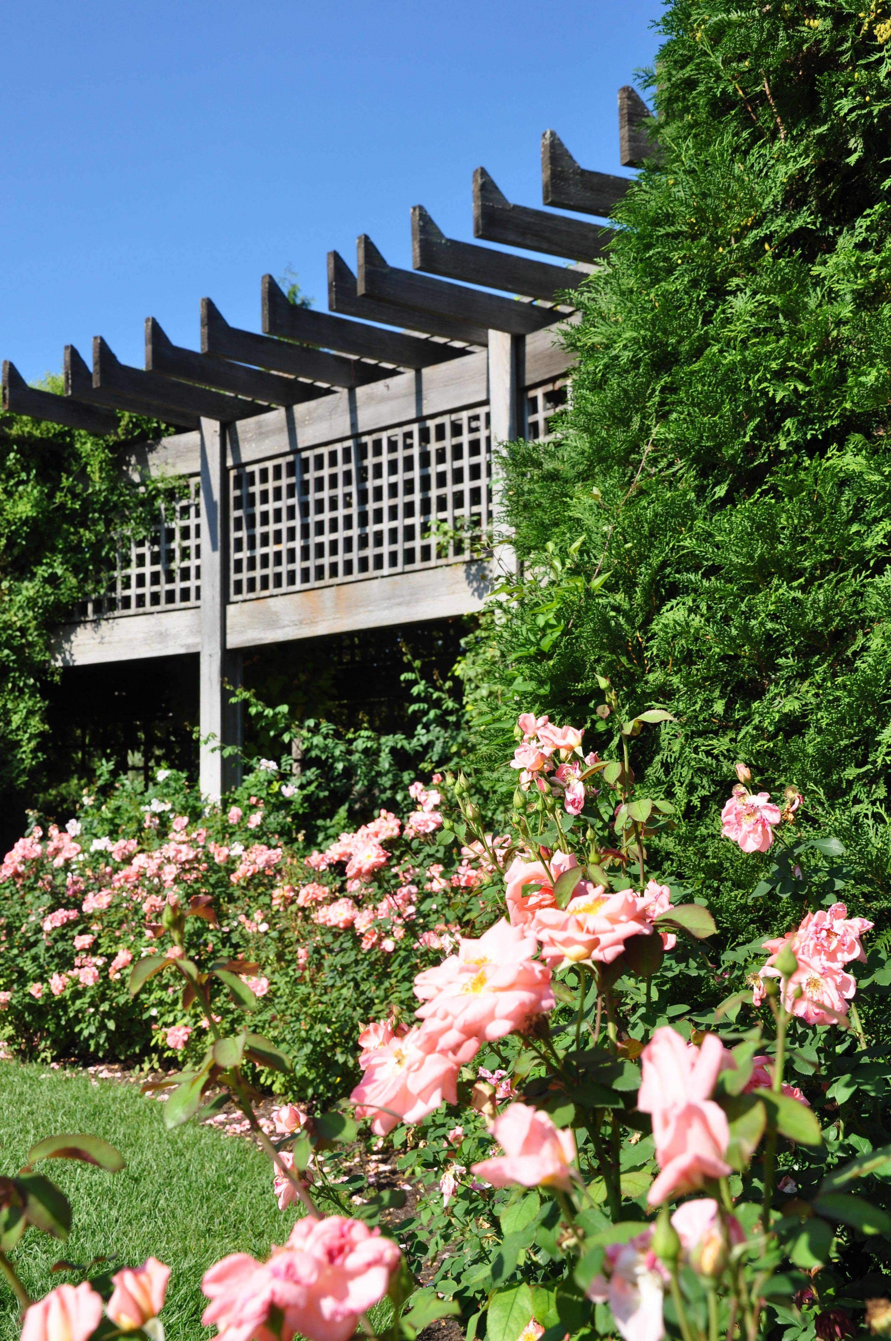 23 Botanical Garden Bridge Ideas You Must Look | SharonSable