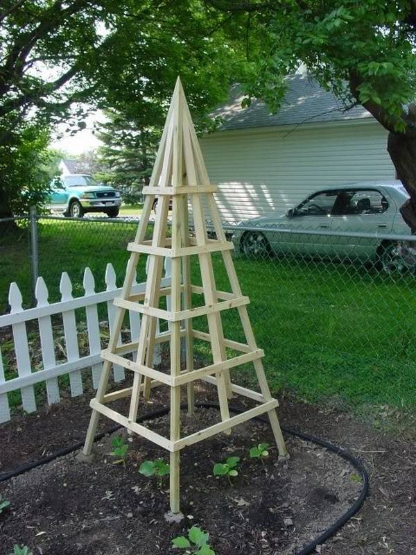 17 Garden Pyramid Trellis Ideas To Try This Year | SharonSable