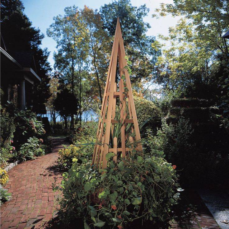 17 Garden Pyramid Trellis Ideas To Try This Year | SharonSable