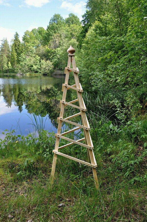 17 Garden Pyramid Trellis Ideas To Try This Year | SharonSable