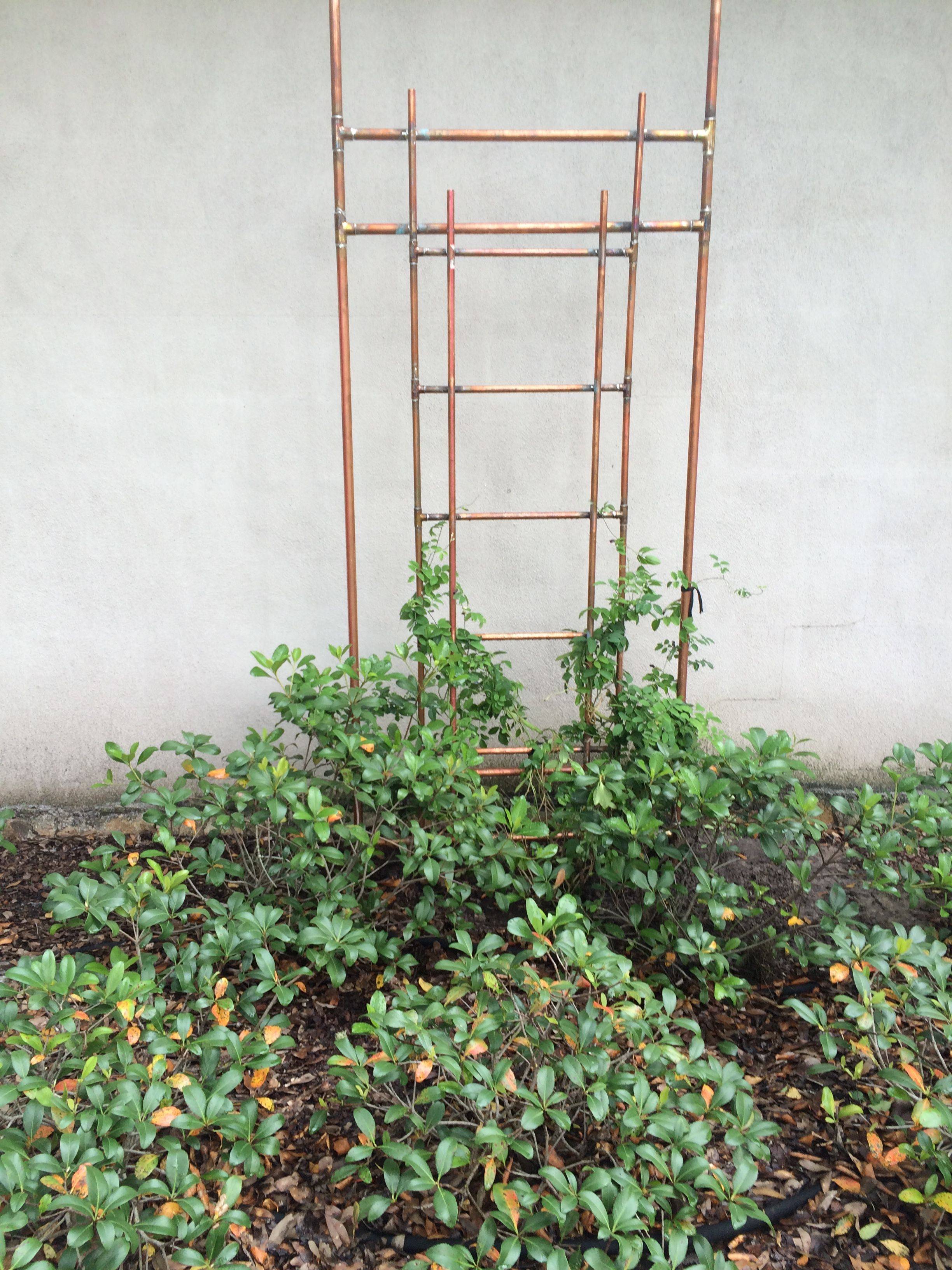 19 Copper Garden Trellis Ideas Worth a Look | SharonSable