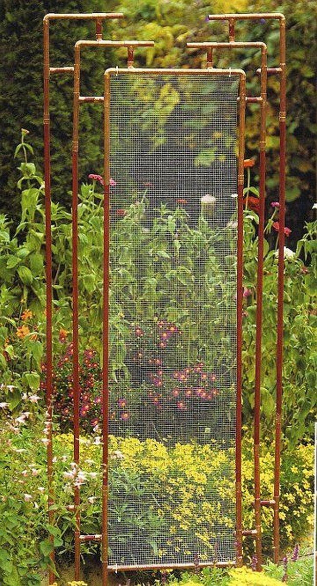 19 Copper Garden Trellis Ideas Worth a Look | SharonSable