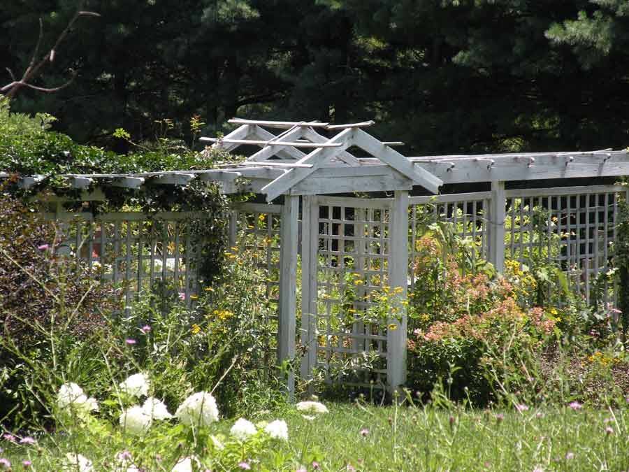 20 Vintage Garden Trellis Ideas To Try This Year | SharonSable
