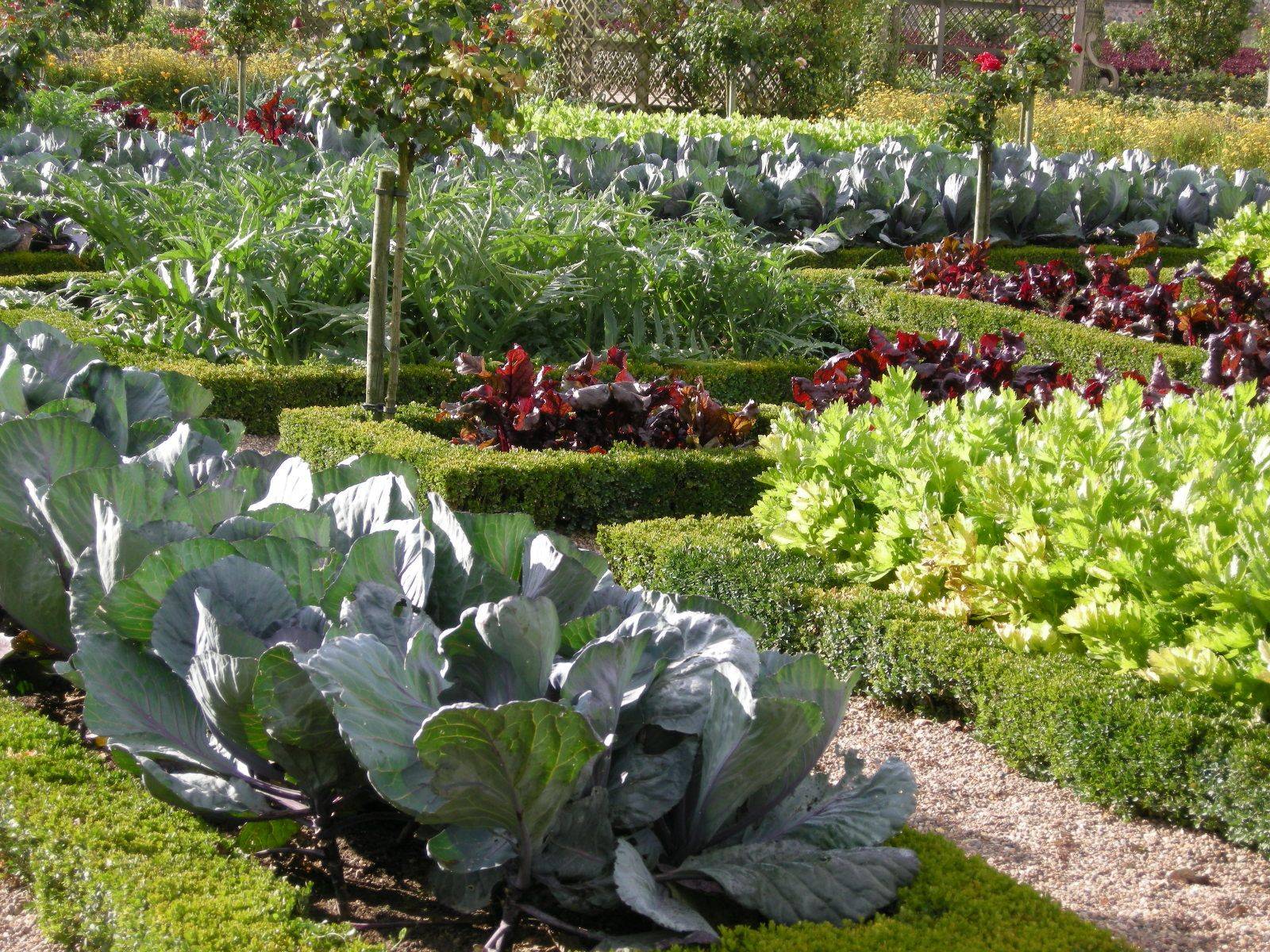 23 Geometric Herb Garden Layout Ideas Worth to Check | SharonSable