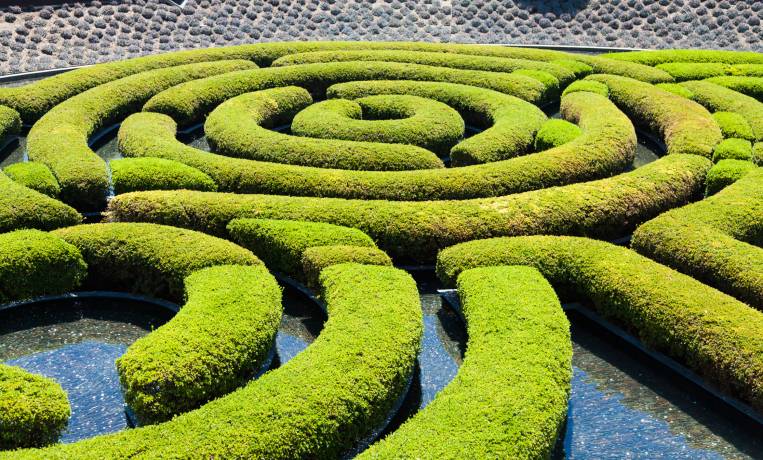 24 Garden Maze Design Ideas You Should Check | SharonSable