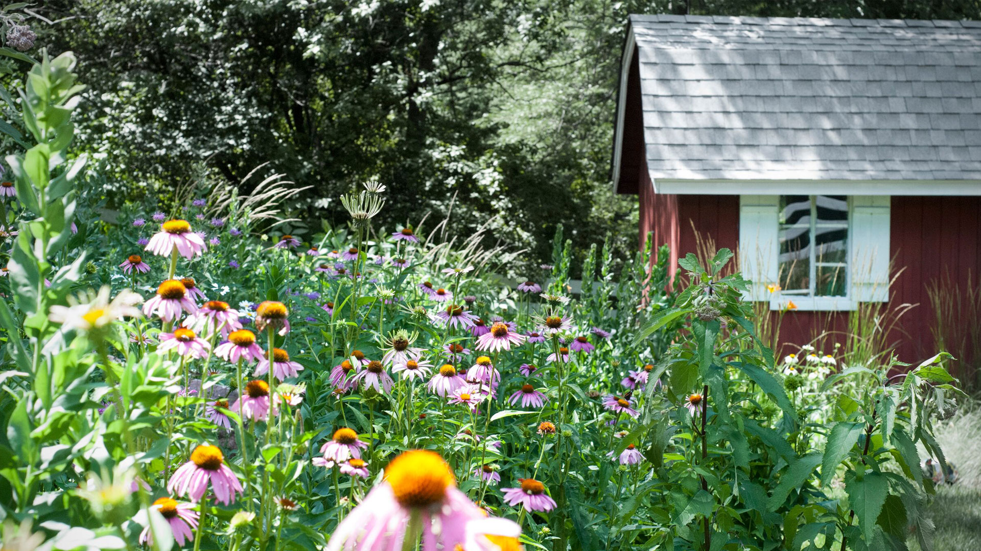 26 Pollinator Garden Layout Ideas For This Year | SharonSable