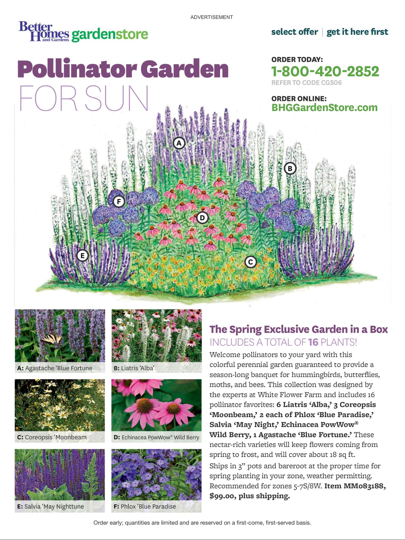 26 Pollinator Garden Layout Ideas For This Year | SharonSable