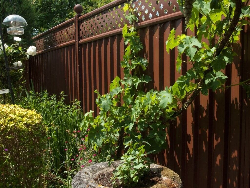 19 Medieval Garden Fence Ideas You Must Look | SharonSable