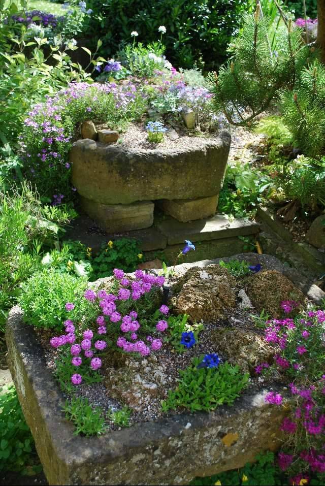 23 Garden Troughs Ideas You Gonna Love | SharonSable