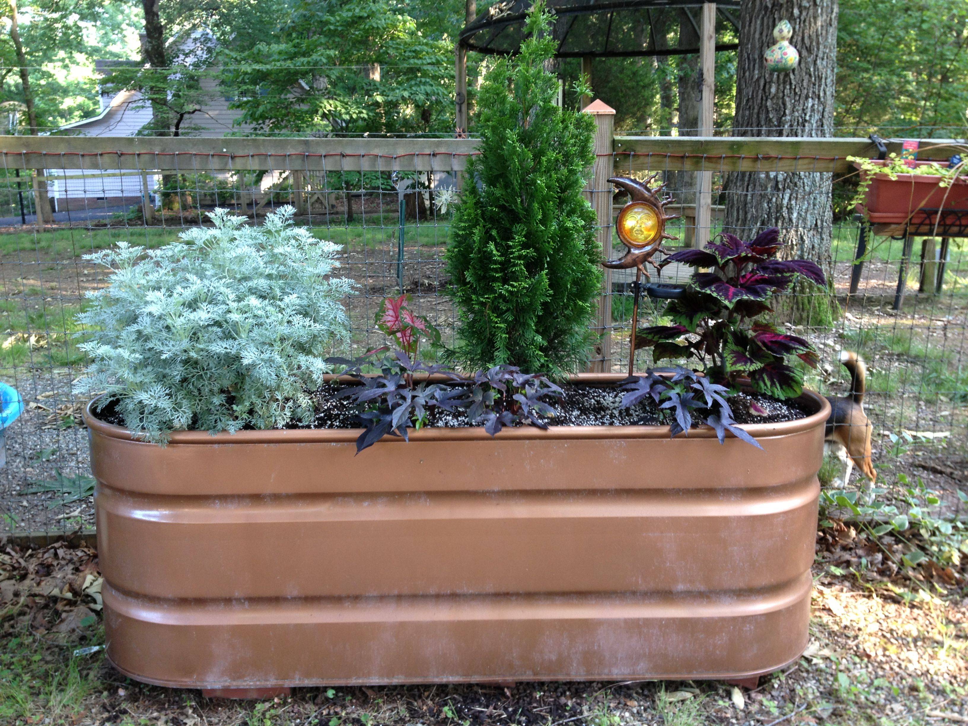 23 Garden Troughs Ideas You Gonna Love | SharonSable
