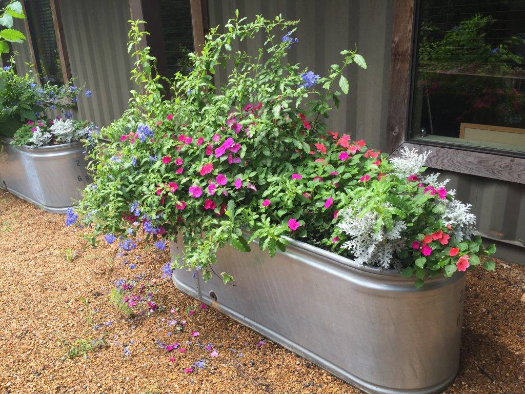 23 Garden Troughs Ideas You Gonna Love | SharonSable