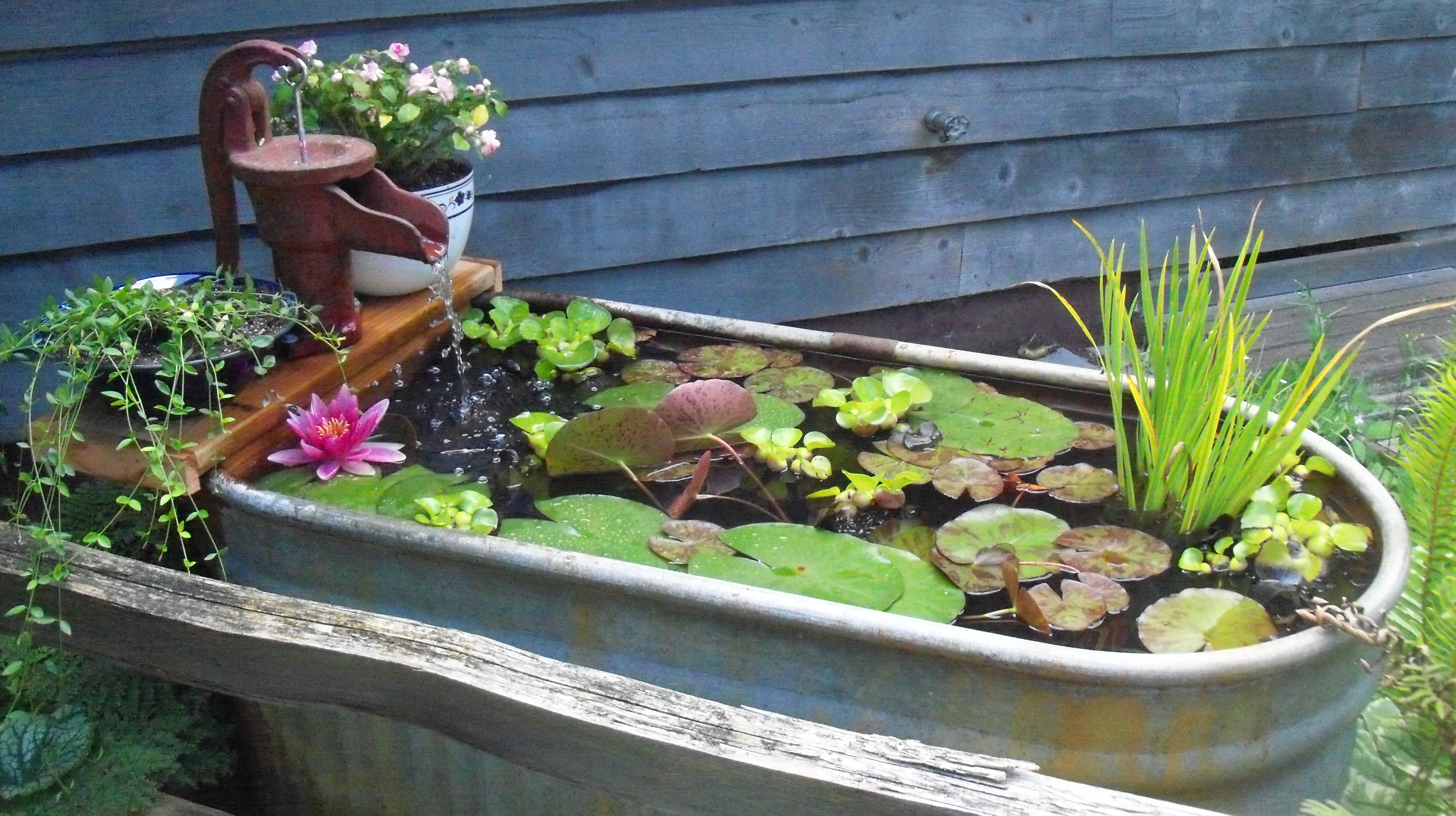 23 Garden Troughs Ideas You Gonna Love | SharonSable