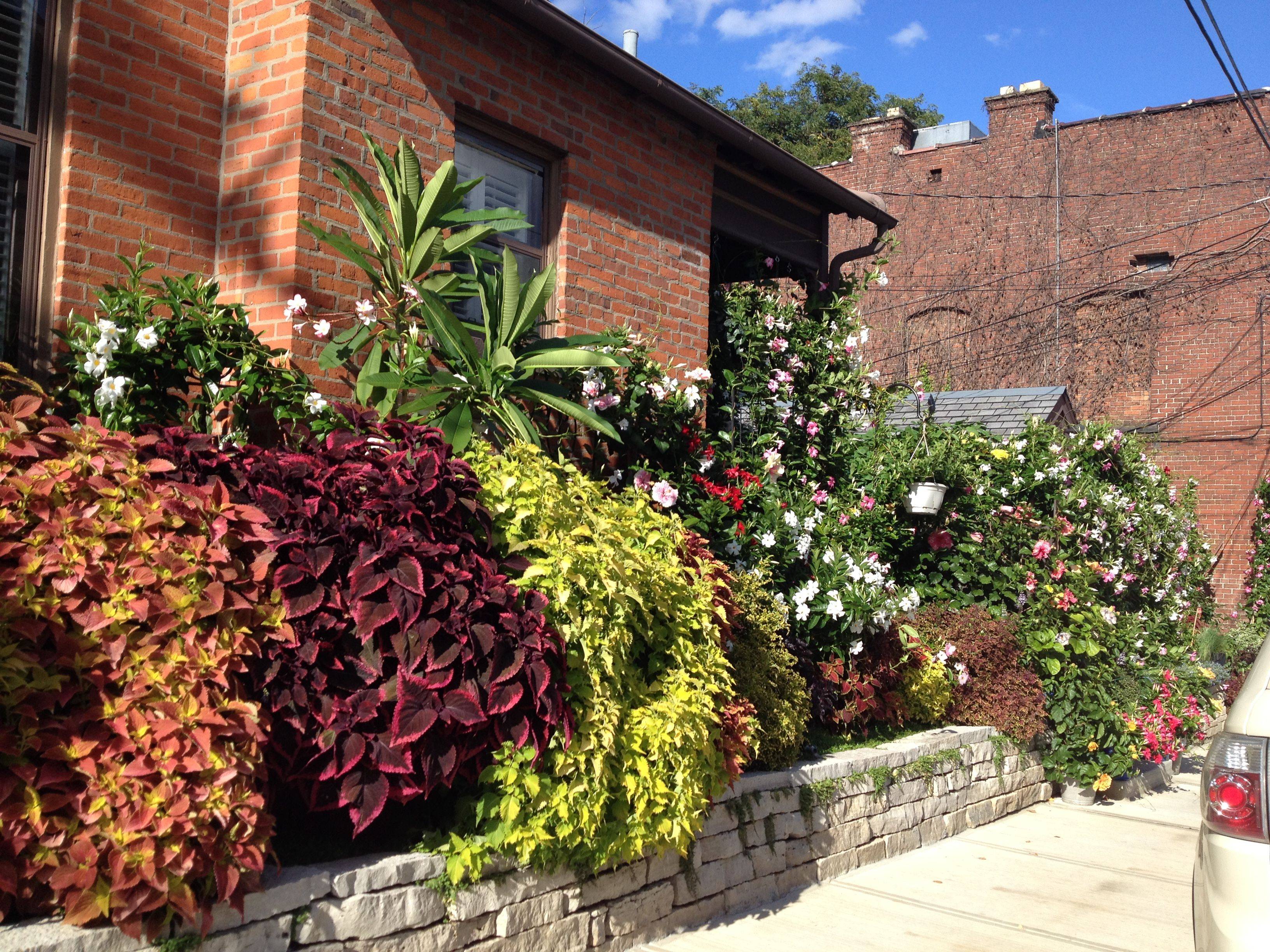 25 German Landscape Garden Ideas To Consider | SharonSable