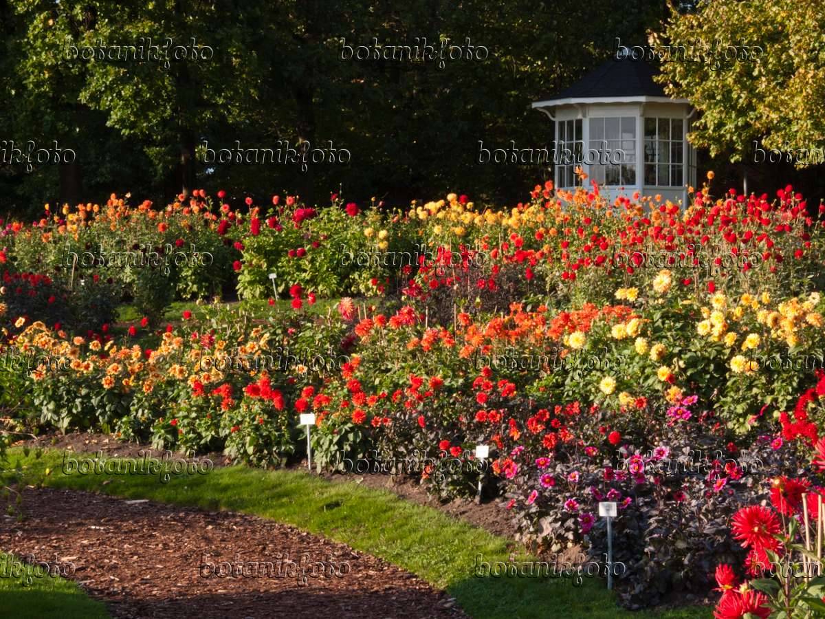 23 Germany Garden Ideas For This Year | SharonSable