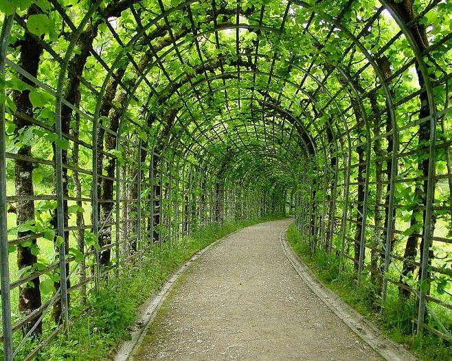 23 Germany Garden Ideas For This Year | SharonSable