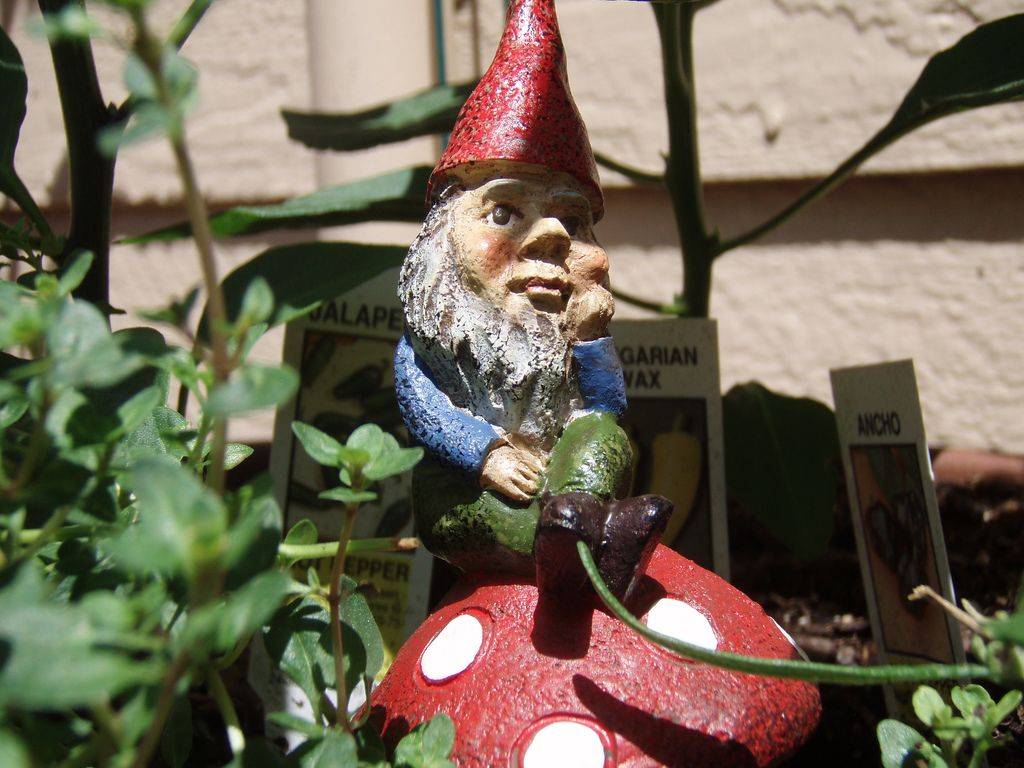 16 German Garden Gnomes Ideas To Try This Year | SharonSable