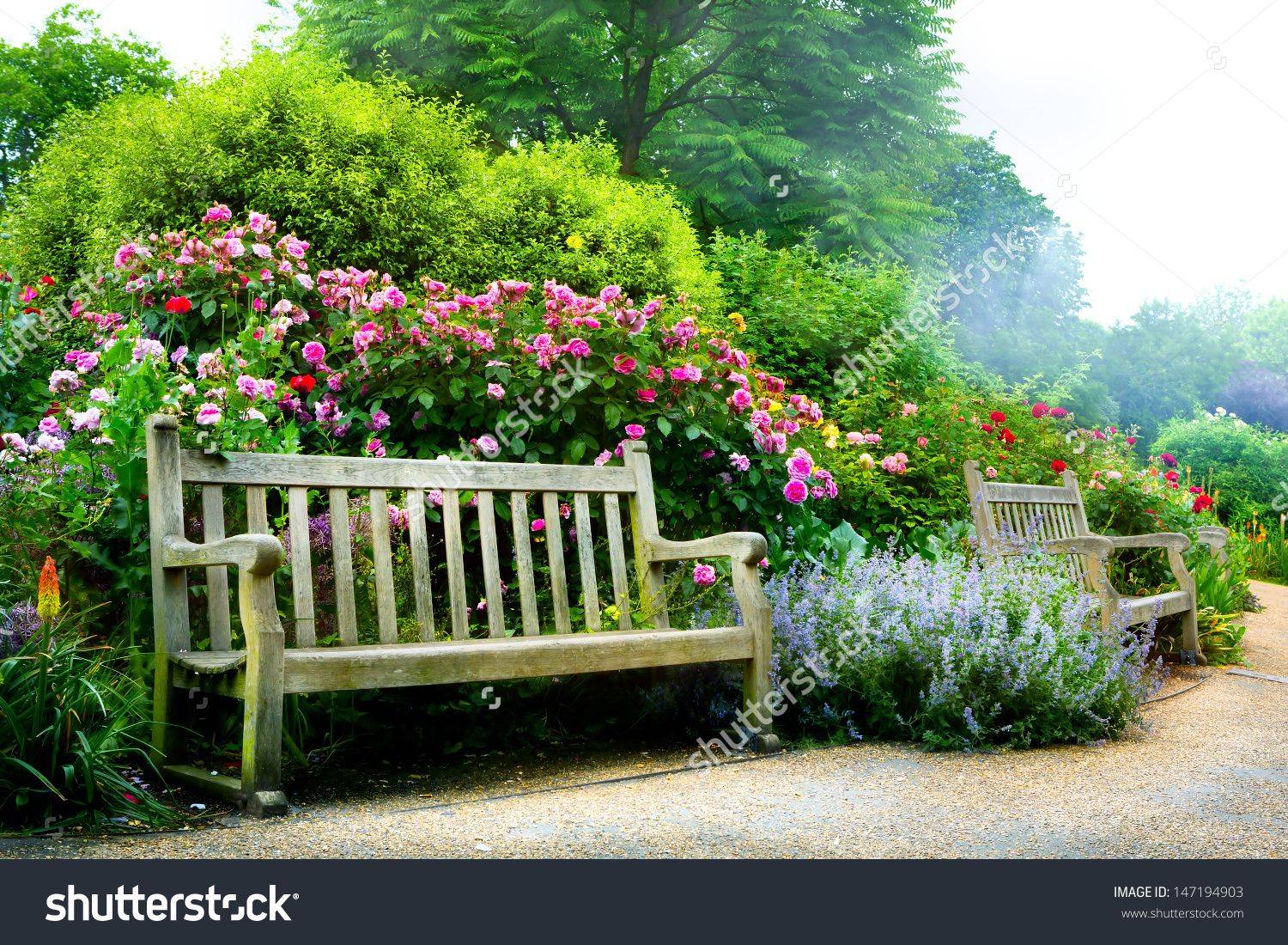 21 English Garden Drawing Ideas You Gonna Love | SharonSable