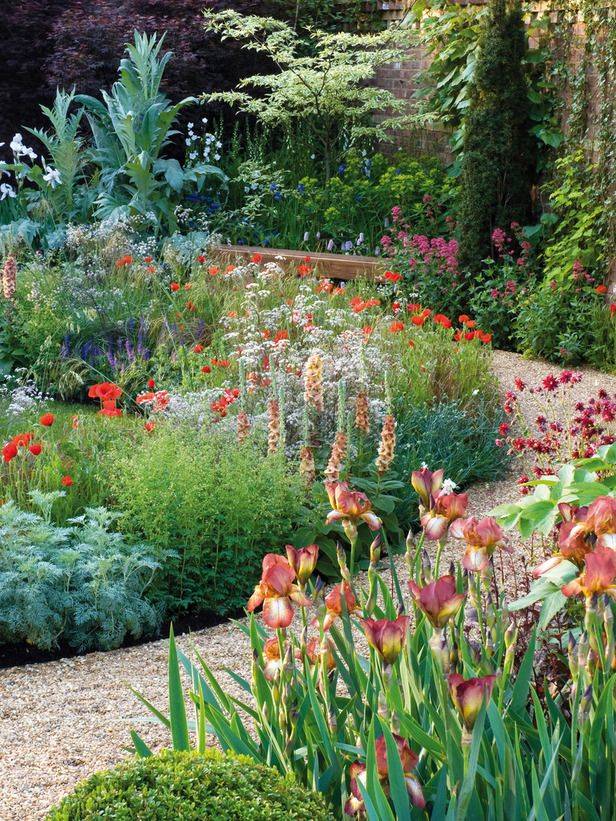 22 Iris Garden Design Ideas You Cannot Miss | SharonSable