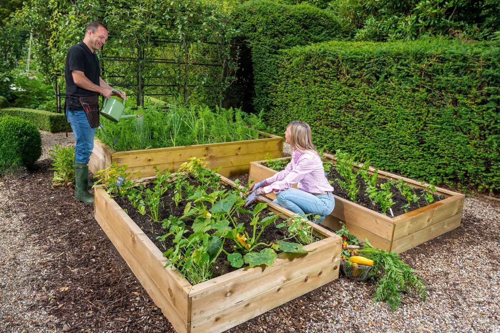 19 Allotment Garden Ideas Worth a Look | SharonSable
