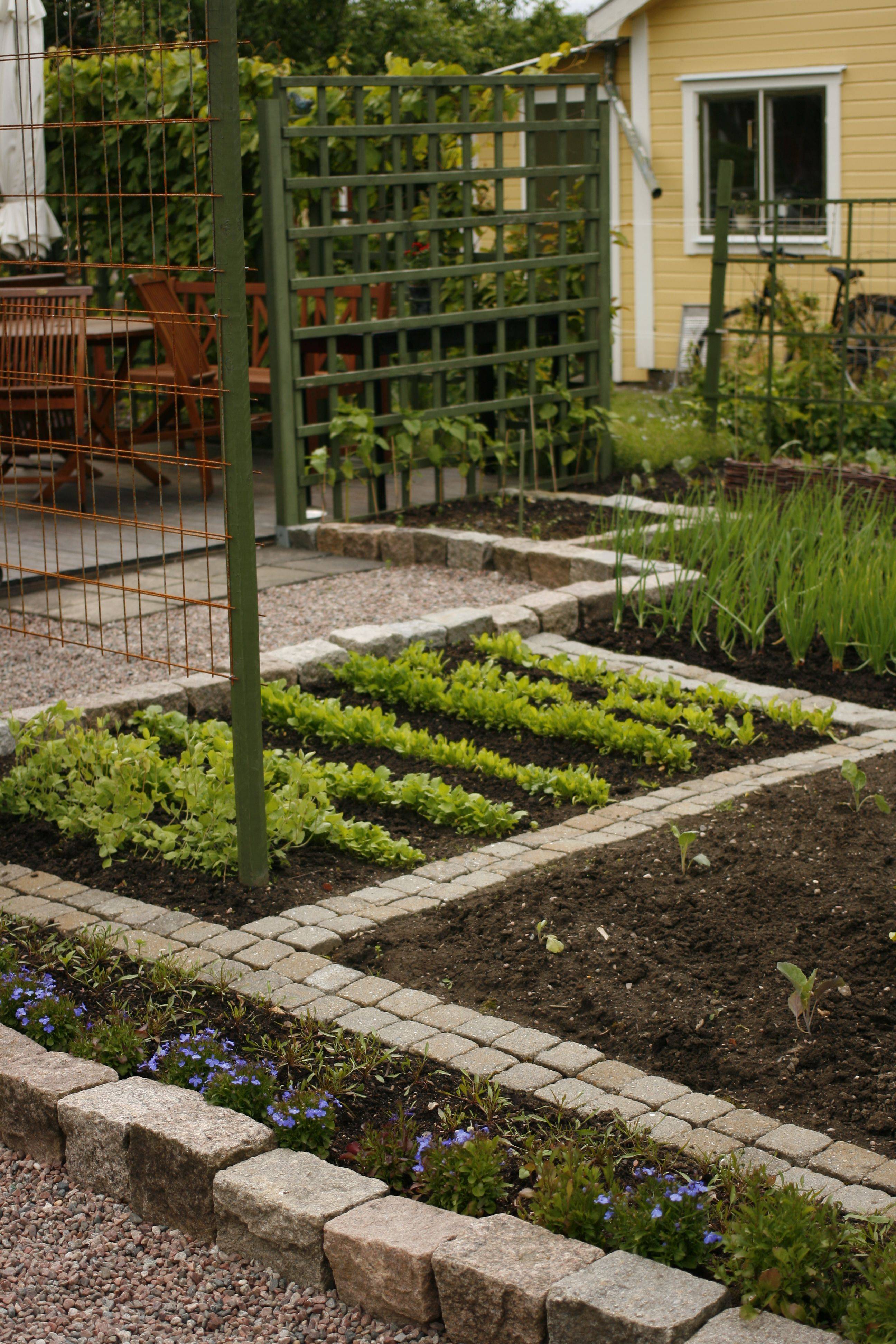 19 Allotment Garden Ideas Worth a Look | SharonSable