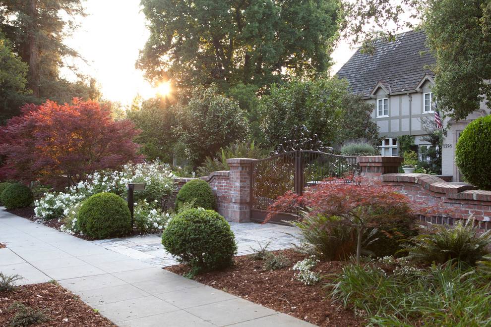 17 San Francisco Rose Garden Ideas To Try This Year | SharonSable