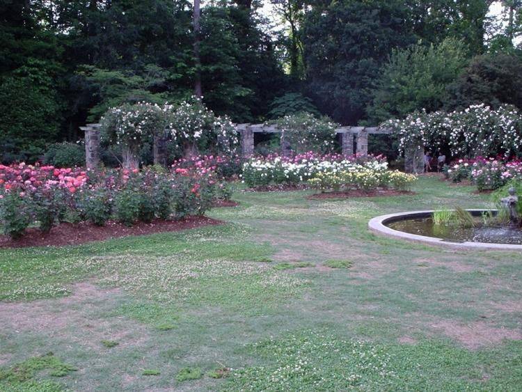 16 Municipal Rose Garden Ideas To Consider | SharonSable