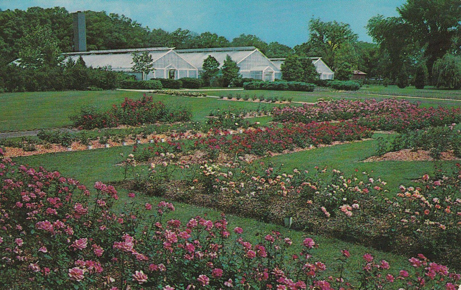 16 Municipal Rose Garden Ideas To Consider | SharonSable