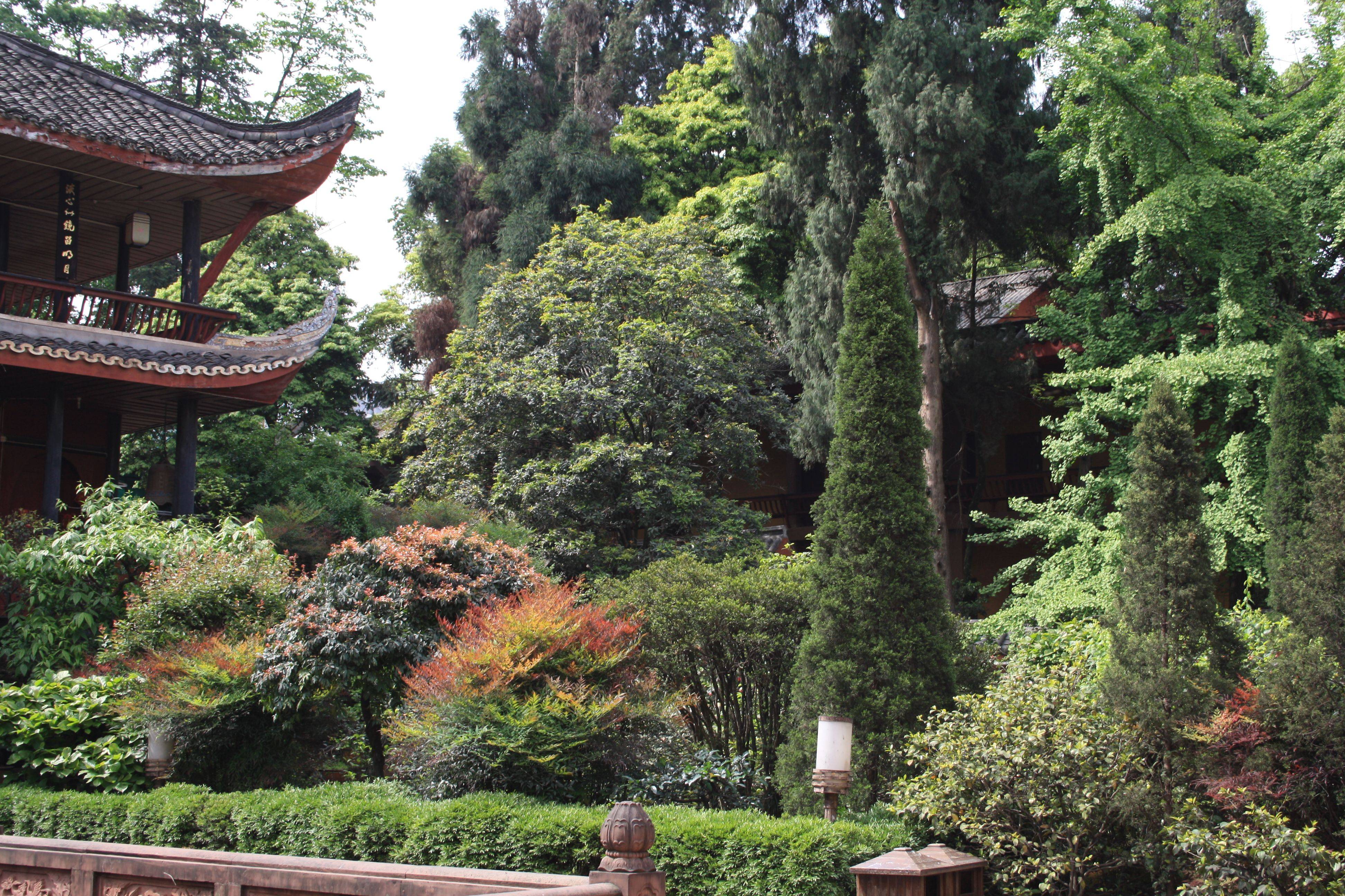 20 Hangzhou Garden Ideas You Should Check | SharonSable