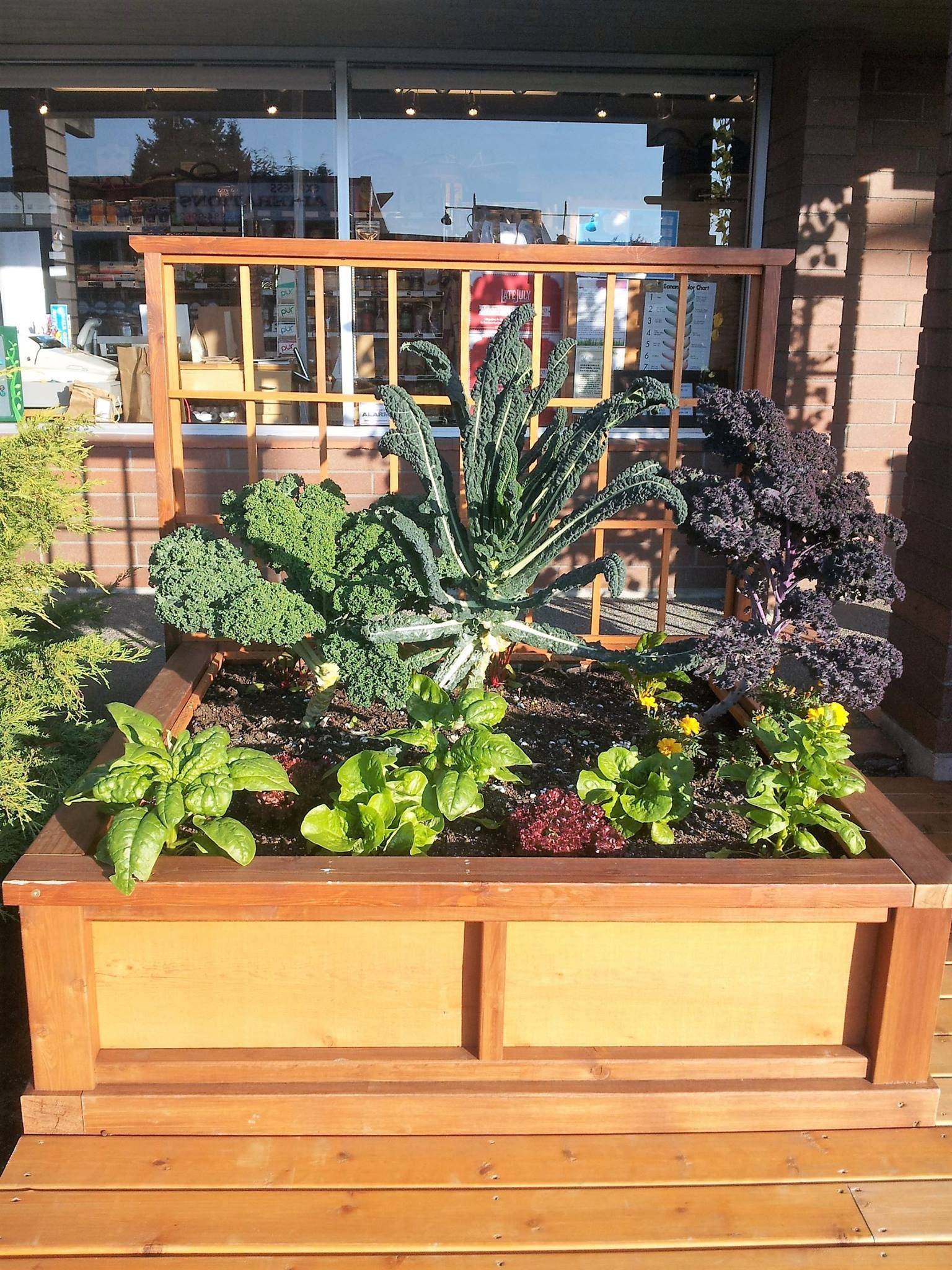 19 Heirloom Garden Ideas You Cannot Miss | SharonSable