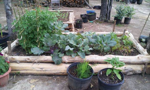 19 Heirloom Garden Ideas You Cannot Miss | SharonSable