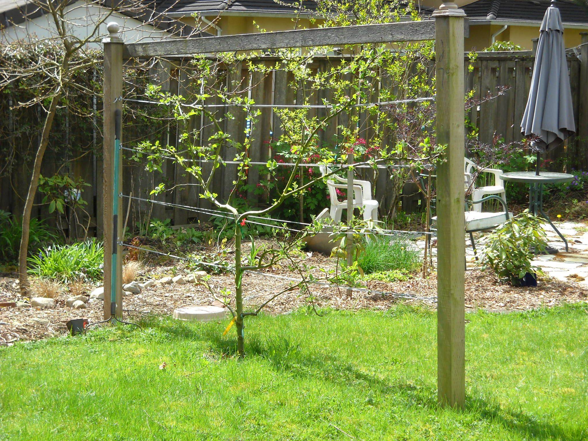 28 Garden Dividers Ideas Worth a Look | SharonSable