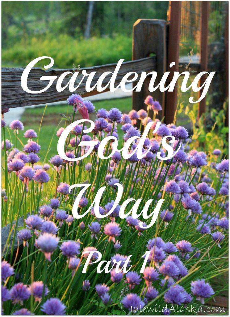 19 Gods Heavenly Garden Ideas To Try This Year | SharonSable