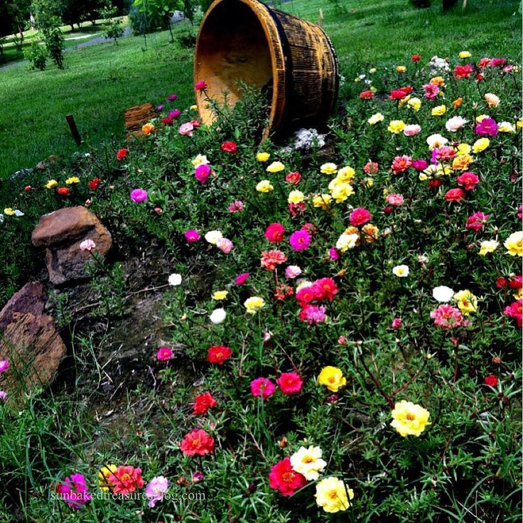 19 Gods Heavenly Garden Ideas To Try This Year | SharonSable