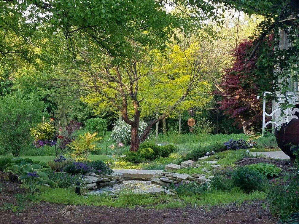 21 Garden of Eden Tree Ideas You Cannot Miss | SharonSable