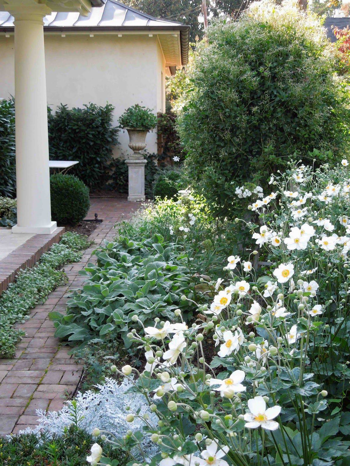 20 White Flower Garden Border Ideas To Consider | SharonSable