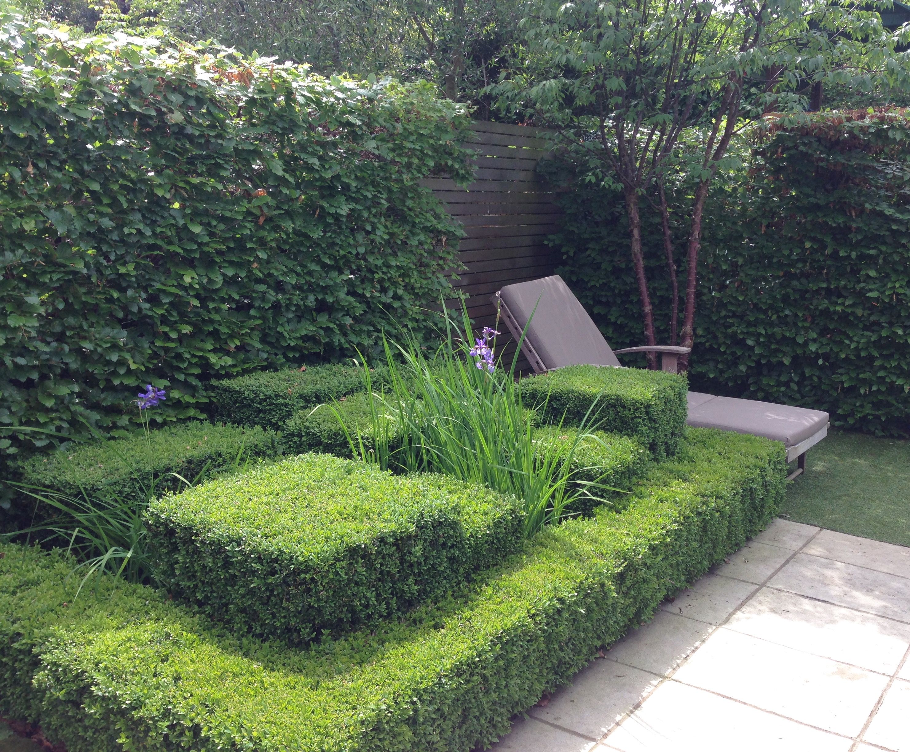 22 Buxus Garden Ideas You Must Look | SharonSable