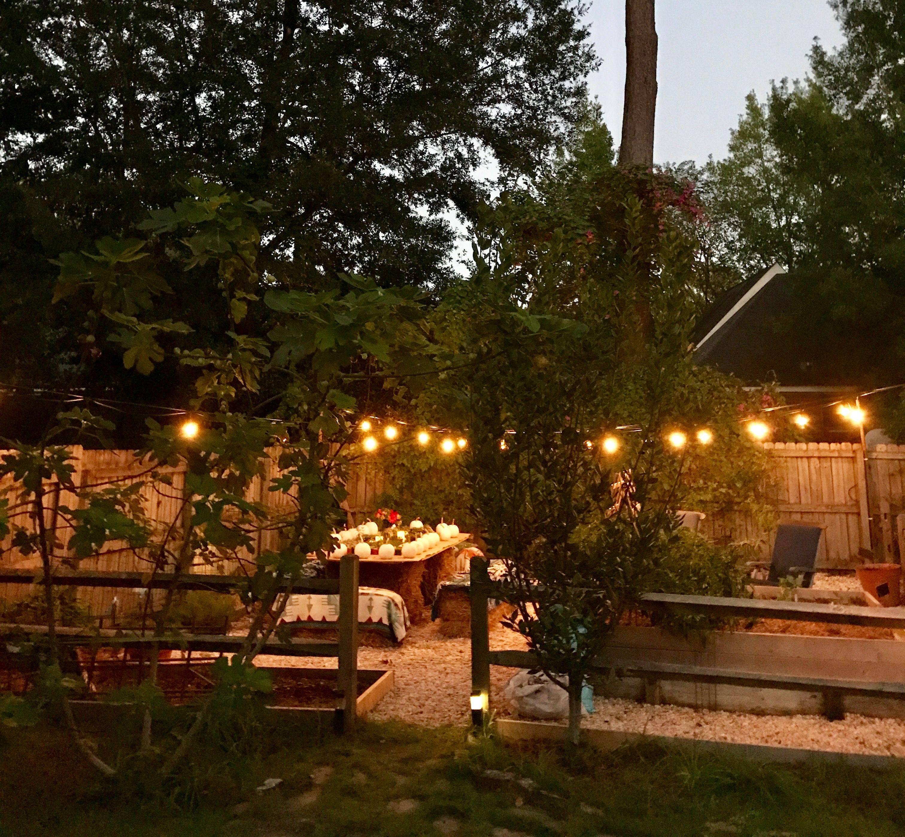 22 Fall Garden Party Ideas You Cannot Miss | SharonSable