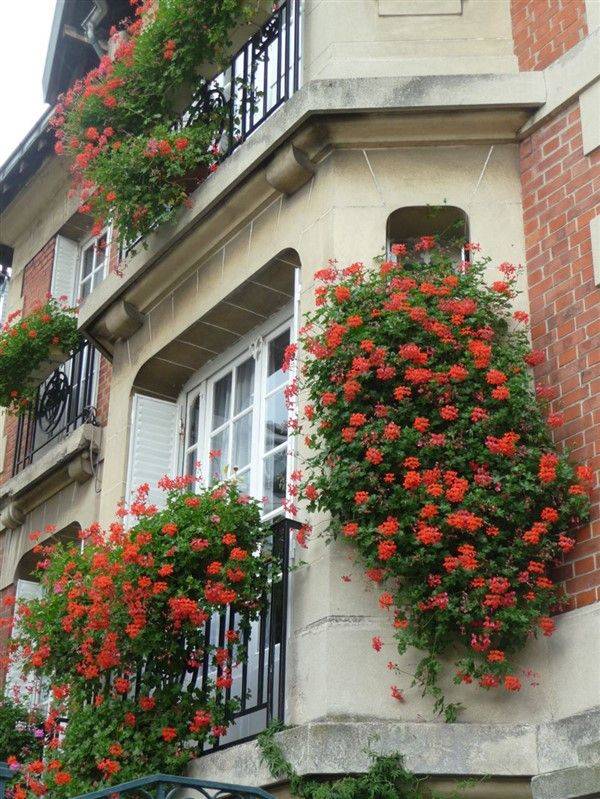 22 Garden Window Balcony Ideas To Consider | SharonSable