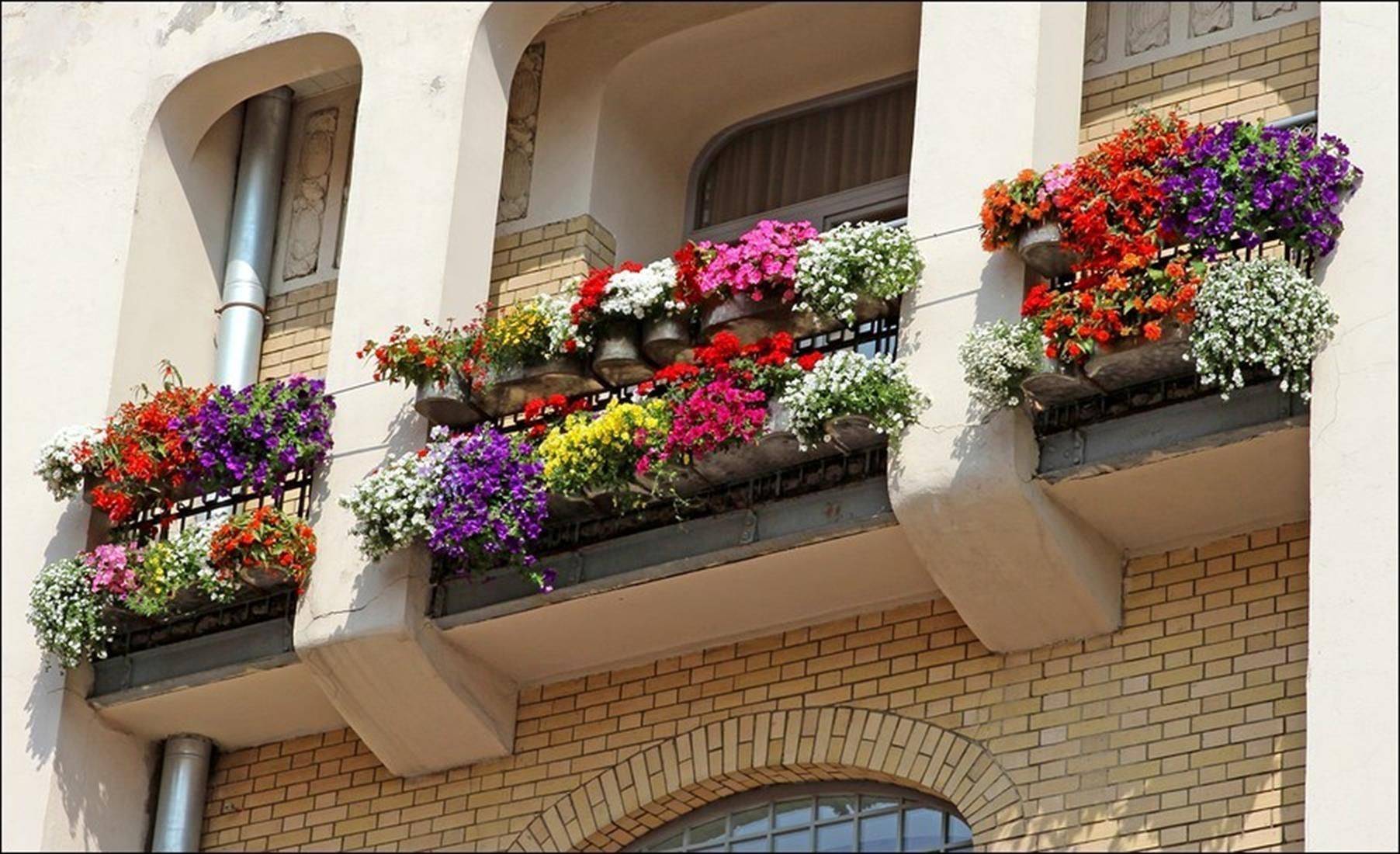 22 Garden Window Balcony Ideas To Consider | SharonSable