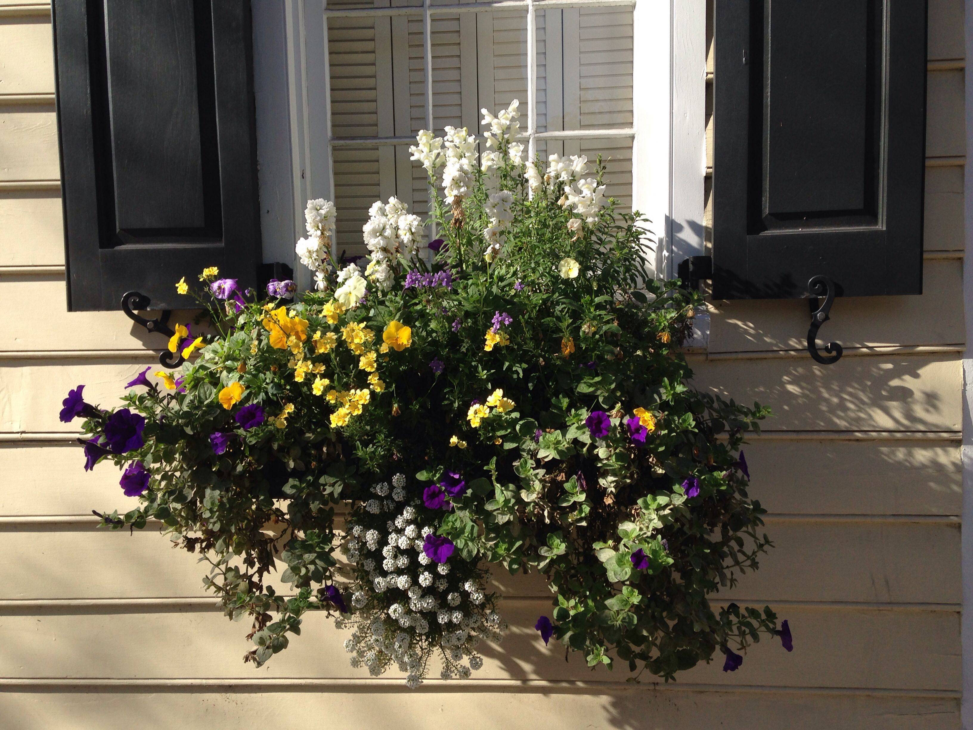 17 Apartment Window Garden Ideas You Should Check | SharonSable