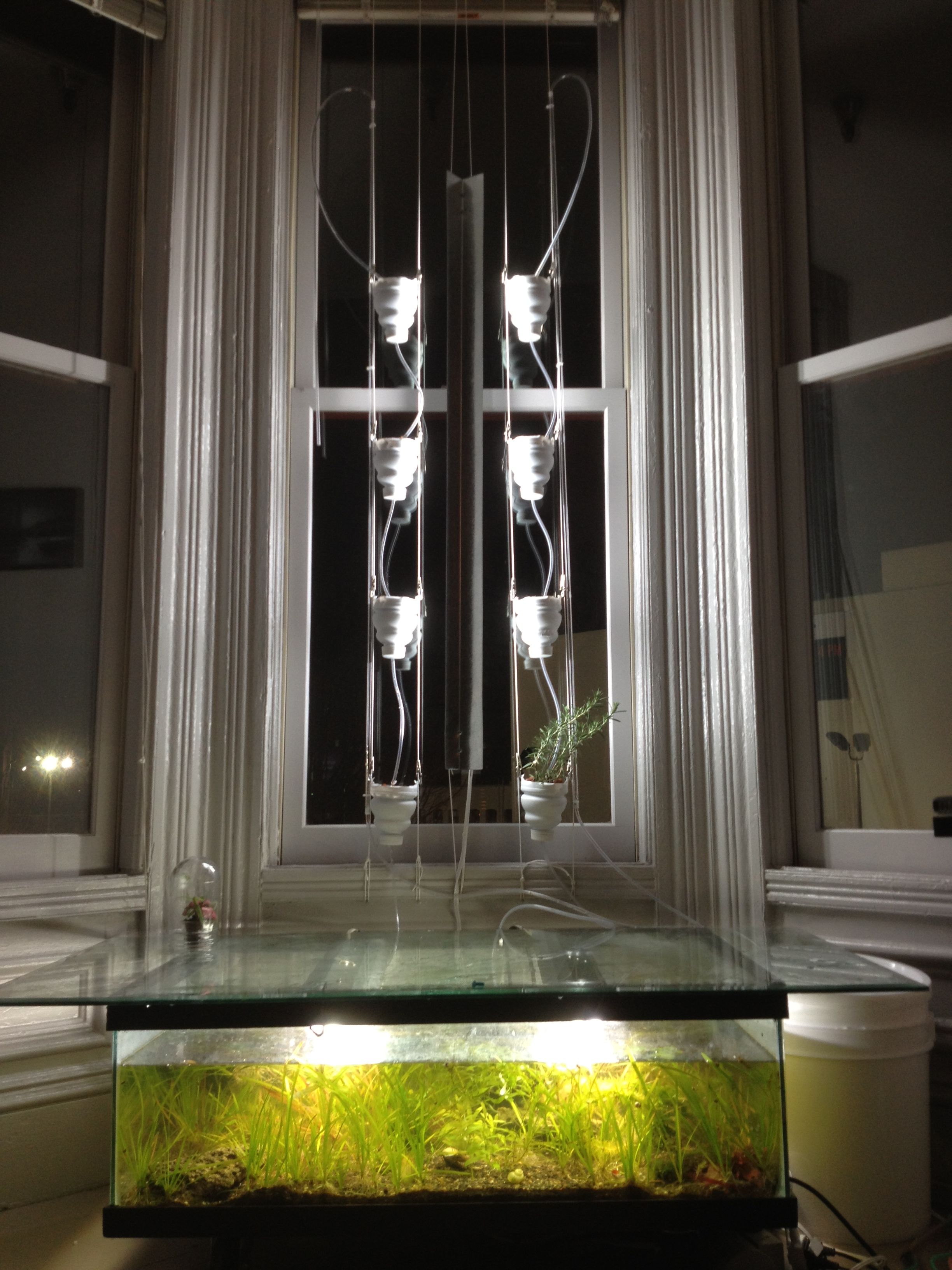 17 Hydroponic Window Garden Ideas You Should Check | SharonSable