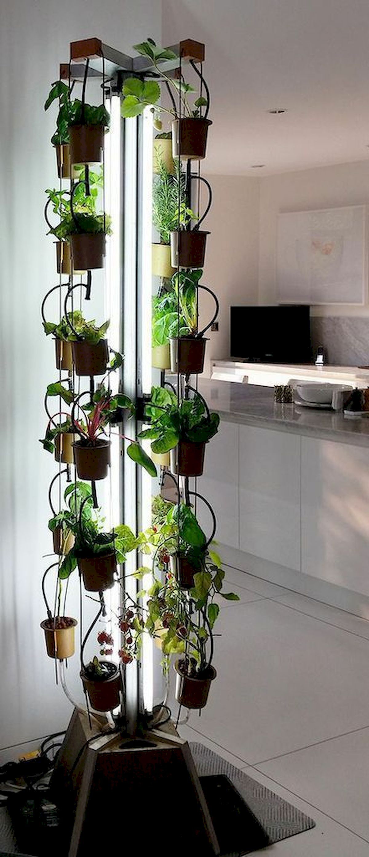 17 Hydroponic Window Garden Ideas You Should Check | SharonSable
