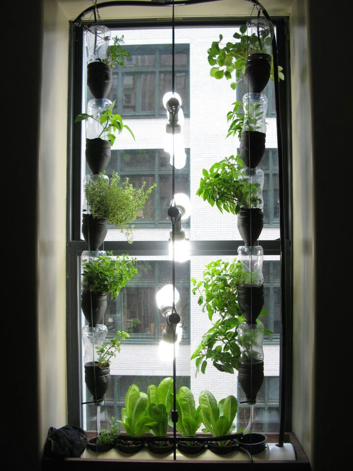17 Hydroponic Window Garden Ideas You Should Check | SharonSable